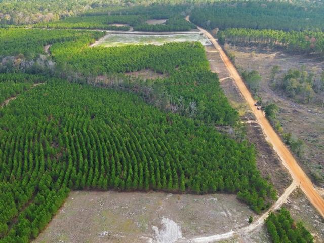 Tbd Young Rd, Livingston, TX 77351 | MLS #36622 | Compass