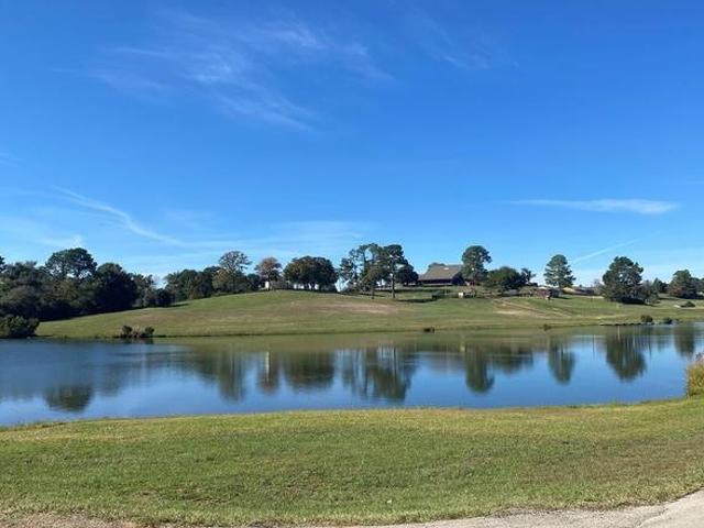 Tbd Yaupon, Hilltop Lakes, TX 77871 | MLS #71585