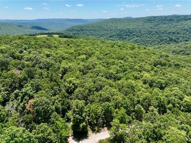 Zinnamon Church Rd, West Fork, AR 72774