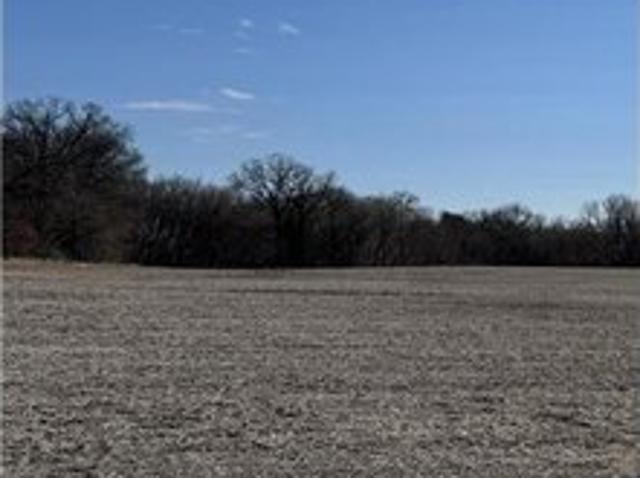 Tbdd 210th Ln NW, Nowthen, MN 55303