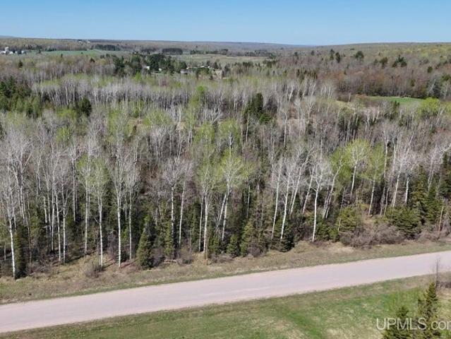 Tbde S River Rd, Chassell, Plot For Sale