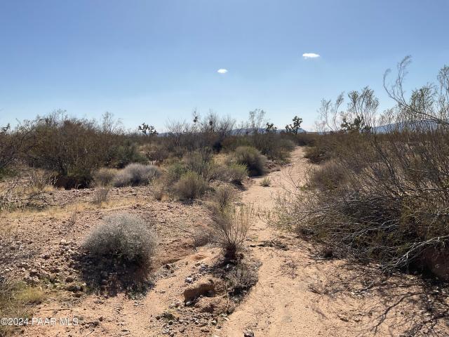 Tbe E Red Barrel Dr, Yucca, AZ 86438 | MLS #1066