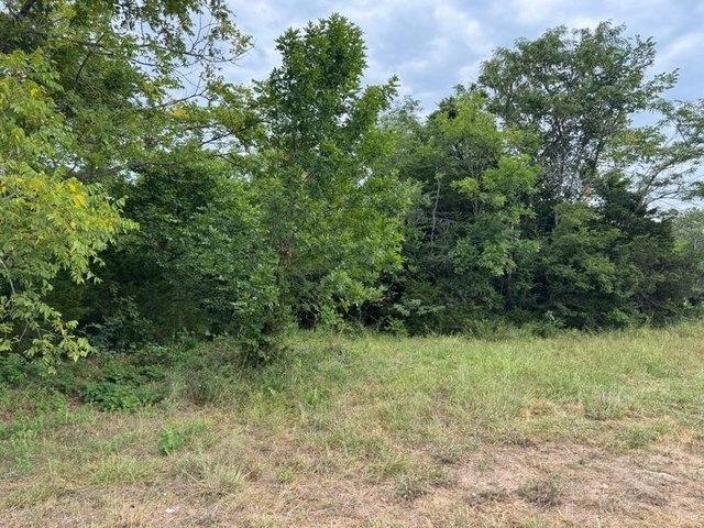 Tbe Pinedale Dr, Salem, AR 72576