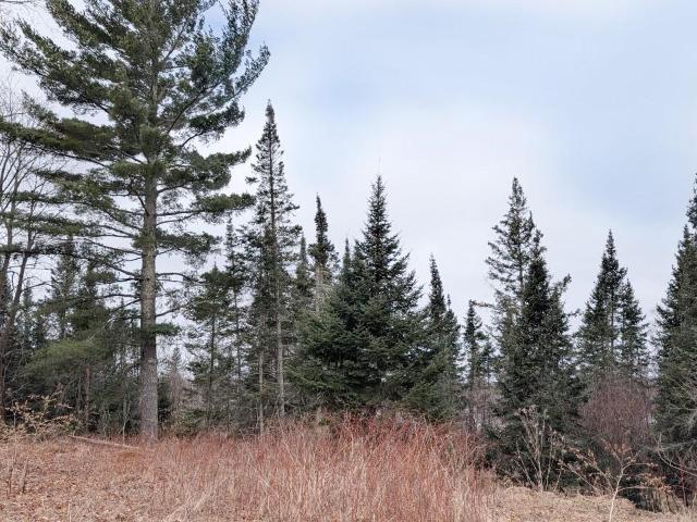 TDB County Rd 453