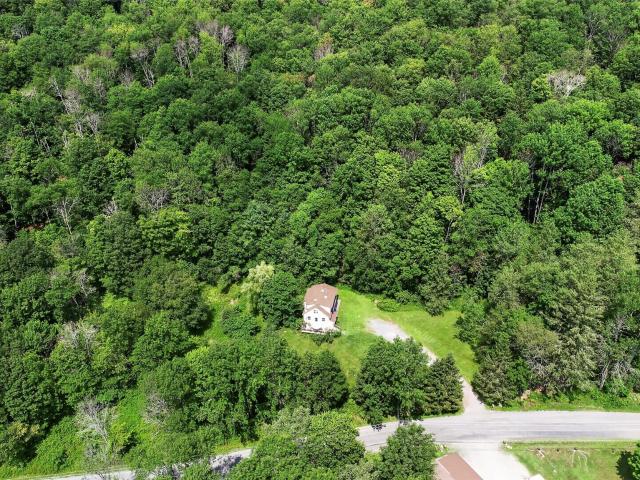 TDB White Roe Lake Road