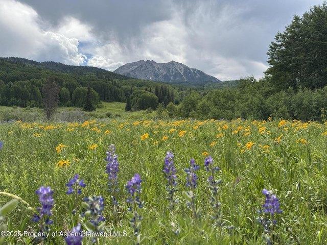 Tdr, Aspen, CO 81611