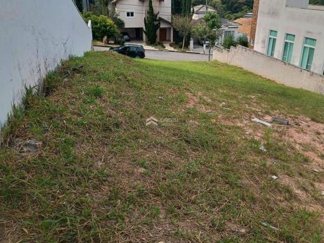 Te0827 Cotia