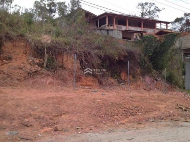TE0286 Cotia