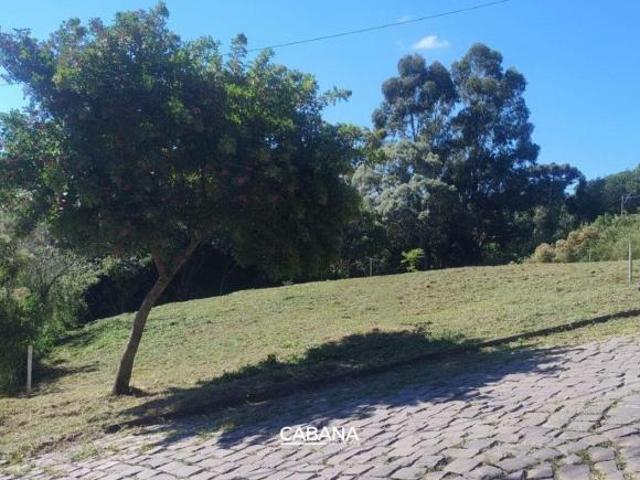 TE542 Terreno