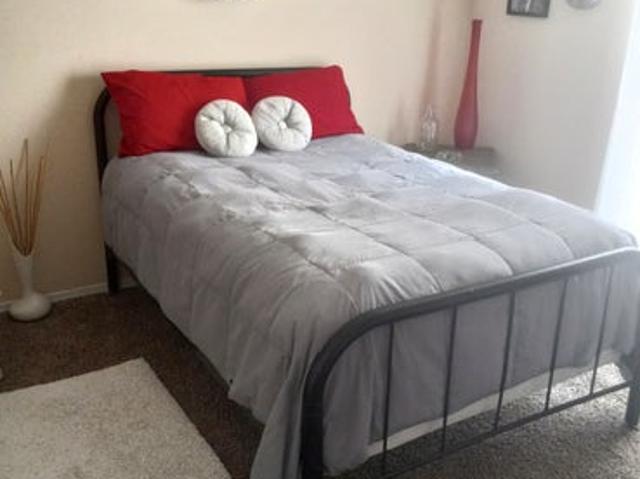 Temp male roomate wanted