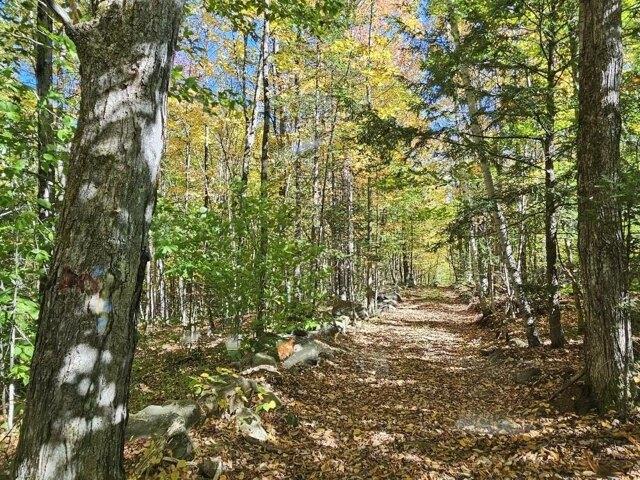 Temple Rd, Farmington, Plot For Sale
