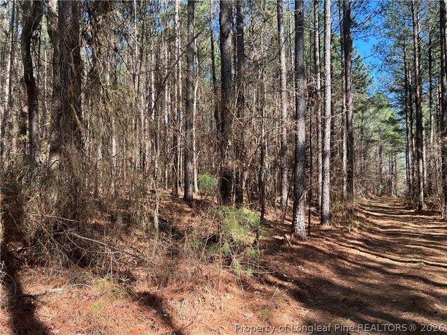 Tempting Church Rd, Sanford, NC 27330