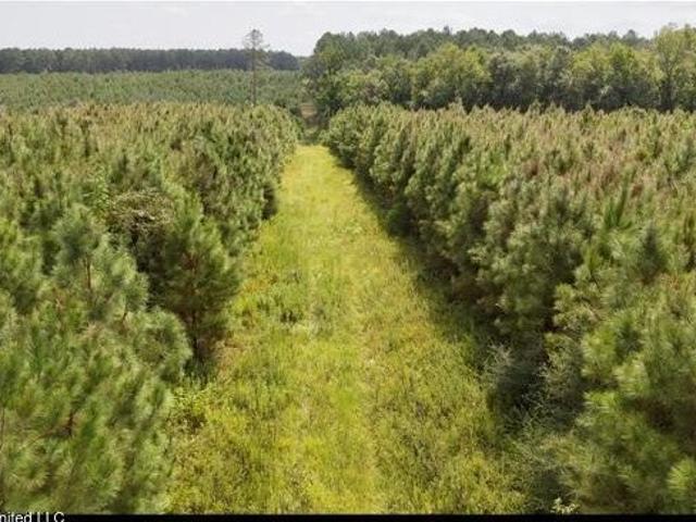 Ten Mile Creek Rd, Tylertown, MS 39667