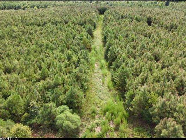 Ten Mile Creek Road, Tylertown, MS 39667