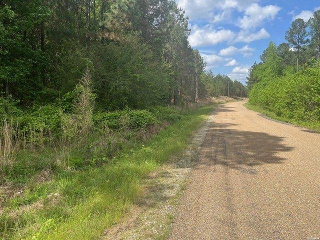 Ten Mile, Hot Springs, AR 71901