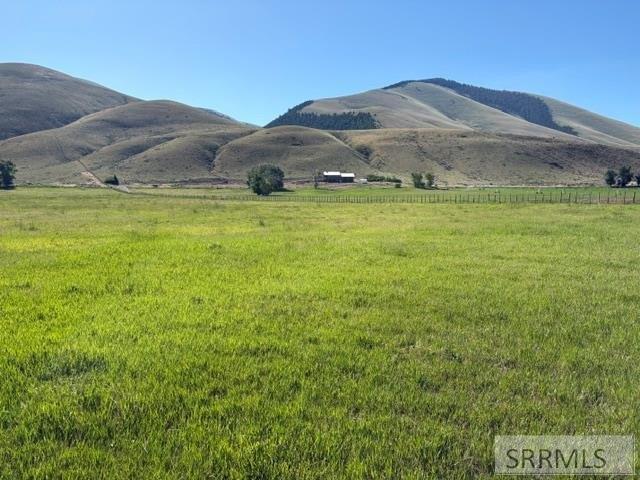 Tendoy, ID 83468