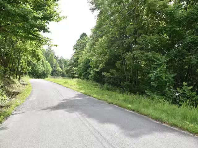 Tennessee Land 1 Acre Wooded Residential Land