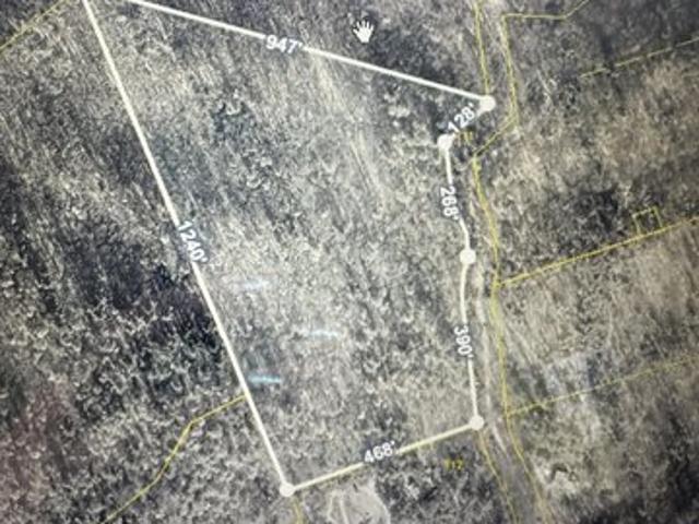 Tennessee Way, Del Rio, TN 37727