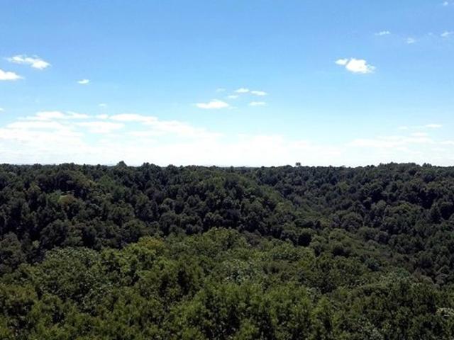Tennis Center Dr, Smithville, TN 37166