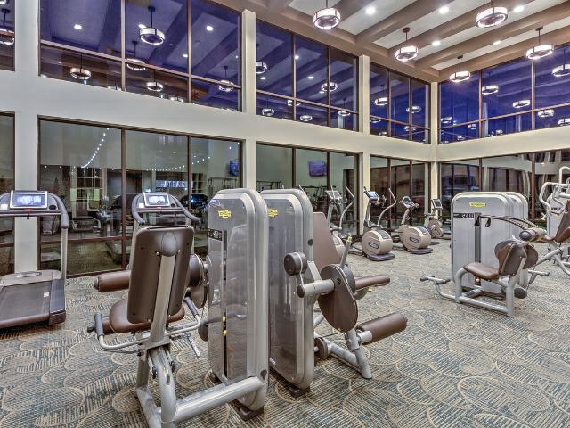 Teak at the Branch 1 Bedroom Apartment for Rent at 4601 Amesbury Dr, Dallas, TX 75206