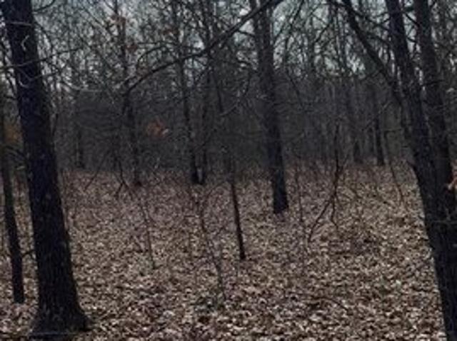 Brandy Ln, Tecumseh, OK 74873