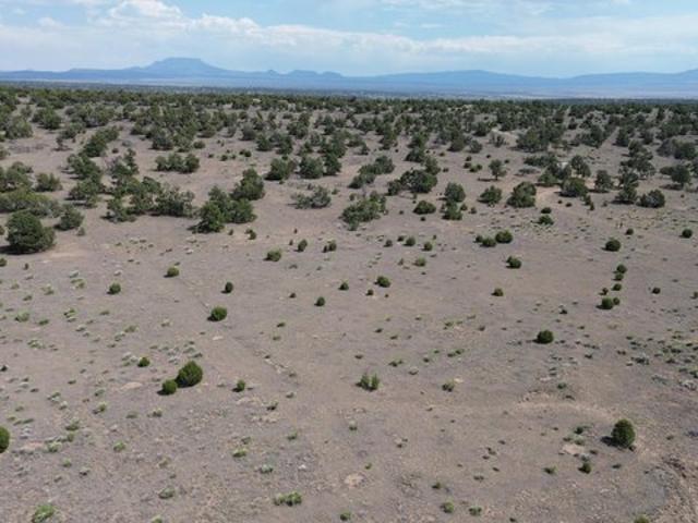 Tee Pee Trl Lot 103, Quemado, NM 87829
