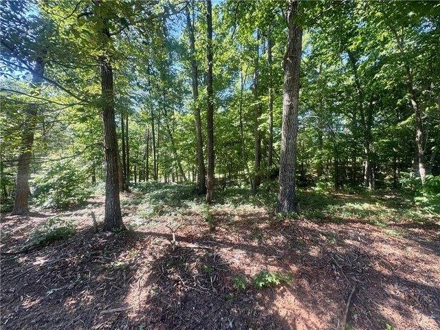 Teel Mountain Dr, Cleveland, GA 30528