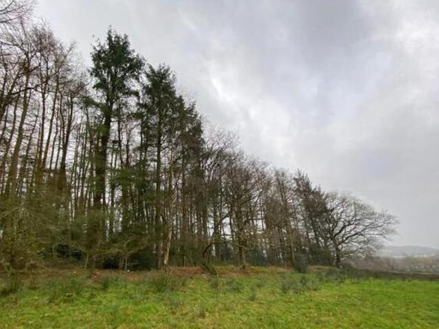Teifi Valley, Lampeter, Commercial Development For