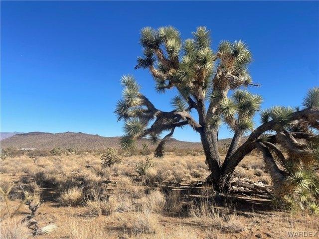 Telegraph Lot 24, Dolan Springs, AZ 86441