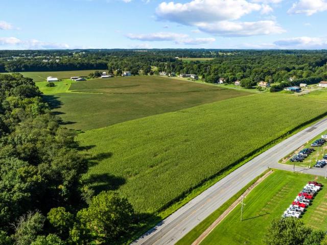 Telegraph Road