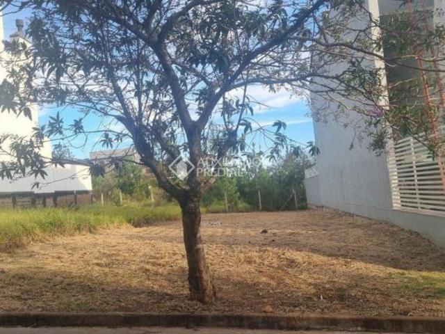 Tereno com 200m²