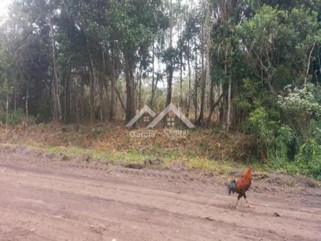 Tereno em Peruíbe no bairro São Francisco