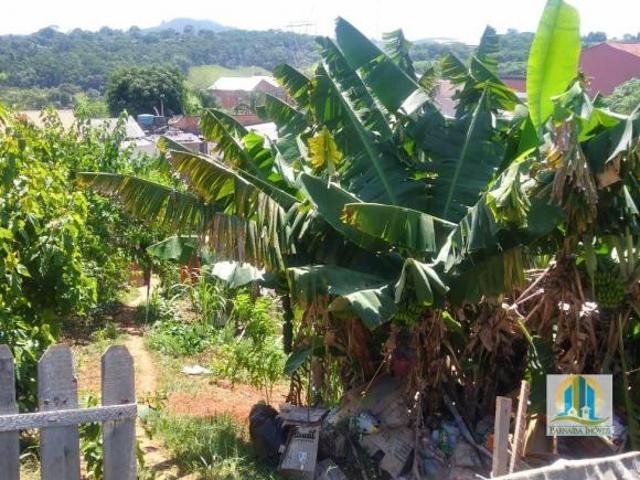 TERERNO Á VENDA EM SANTANA DE PARNAÍBA SP