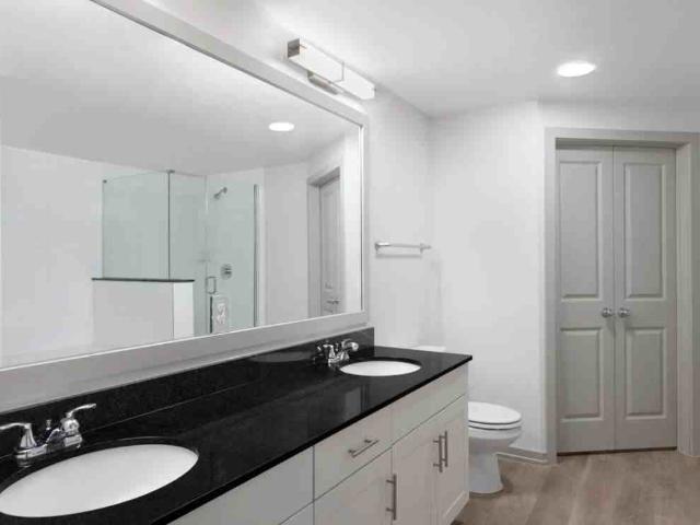 Terra Apartments 1 Bedroom Apartment for Rent at 8300 Bluff Springs Rd, Austin, TX 78744