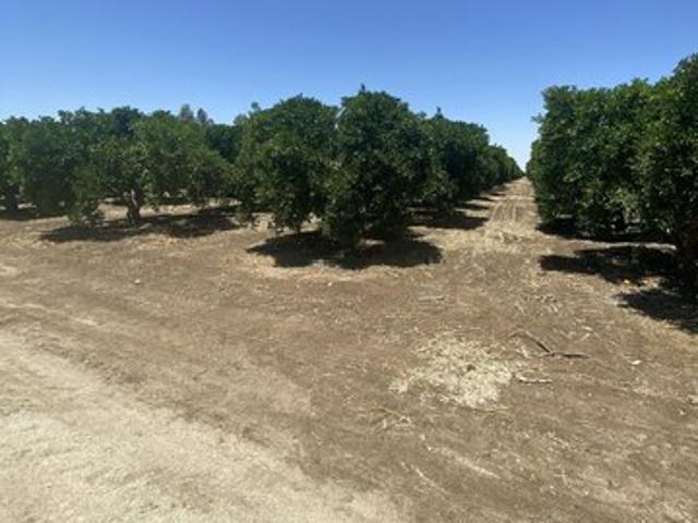 Terra Bella, CA 93270