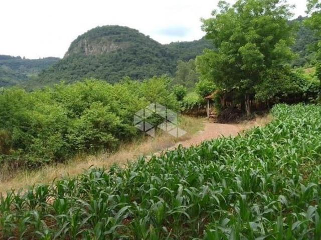 Terra de 15 hectares em Santa Tereza
