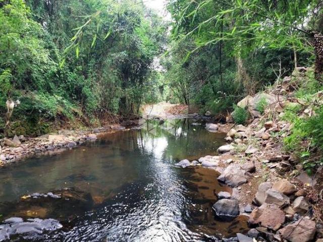 Terra de 2 ha no Vale dos Vinhedos
