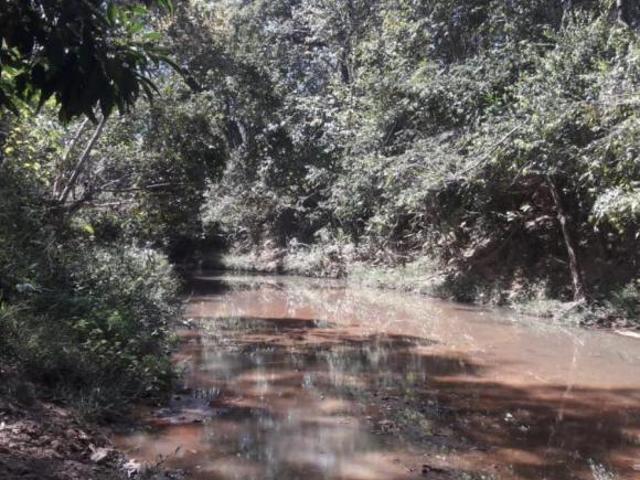 Terra na Zona Rural de Padre Bernardo de 20 hectares, com água, escritura e registro. Aceito carro