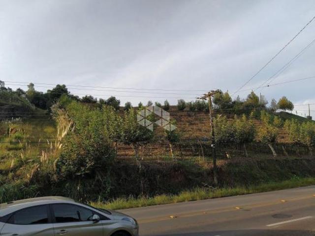 Terra no Vale dos Vinhedos