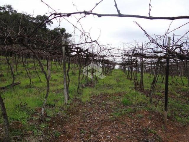 Terra no vale dos Vinhedos, Linha Santa Lucia com 6 hectares