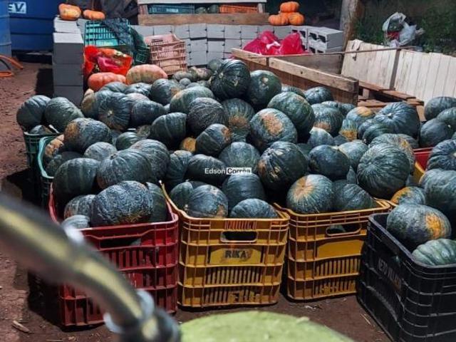 ‍ TERRA PARA AGRICULTURA NO CARAÁ