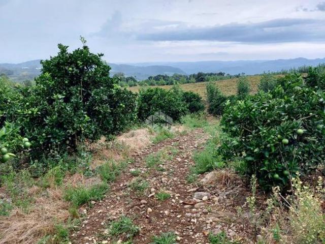 Terra rural 10ha. No Vale dos vinhedos