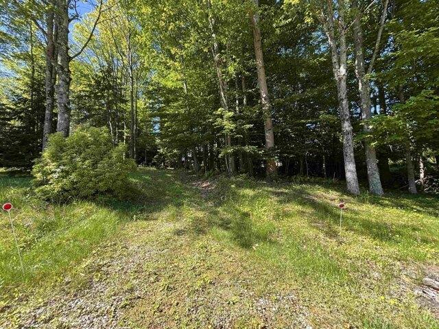 Terrace Rd, Franklin, Plot For Sale