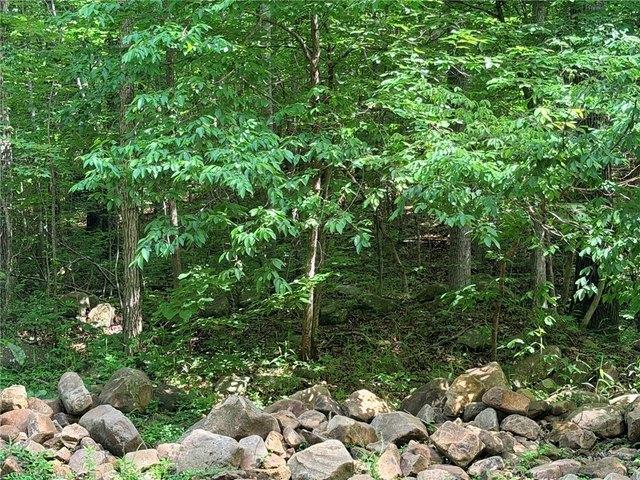 Terrapin Rd Lot 0, Harrison, AR 72601