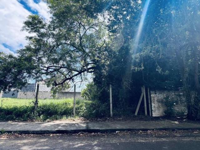 TERRENO MUITO BONITO NO BAIRRO SCHARLAU EM SAO LEOPOLDO