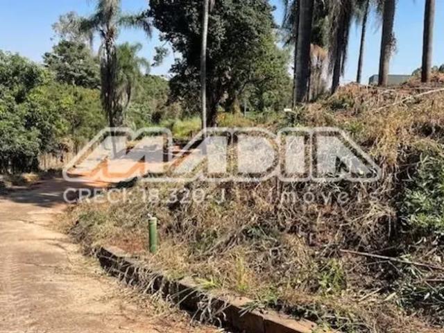 Terreno Macuco Valinhos