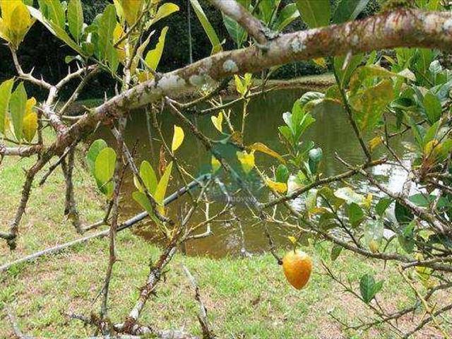 Terreno, Marafunda, Ubatuba R$ 5 mi, Cod: 853