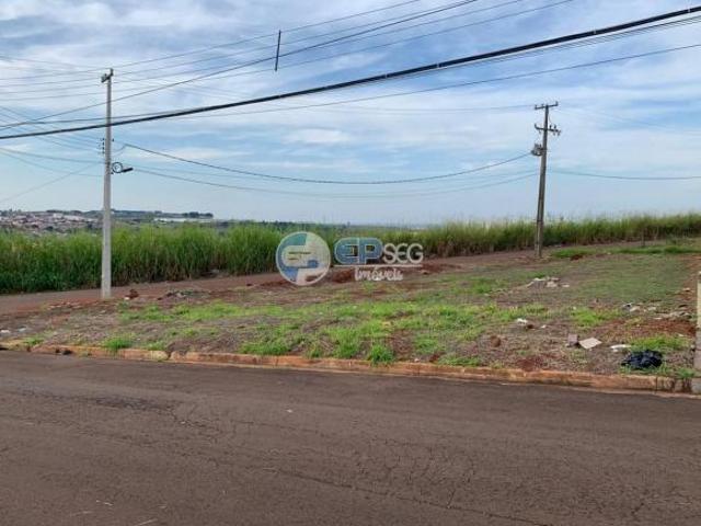 Terreno marginal Rodovia Carlos João Strass próximo Norte Shopping Milton Gavetti Londrina