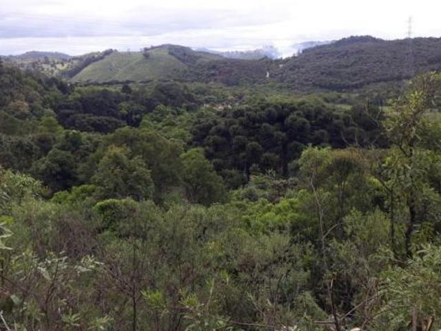 Terreno, Mato Dentro, Almirante Tamandaré, PR