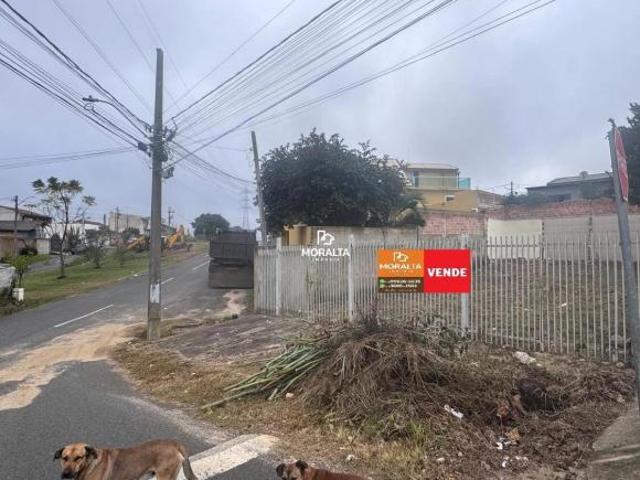 TERRENO MEDINDO 10X20 BAIRRO SANTO ANTONIO SAO JOSE DOS PINHAIS